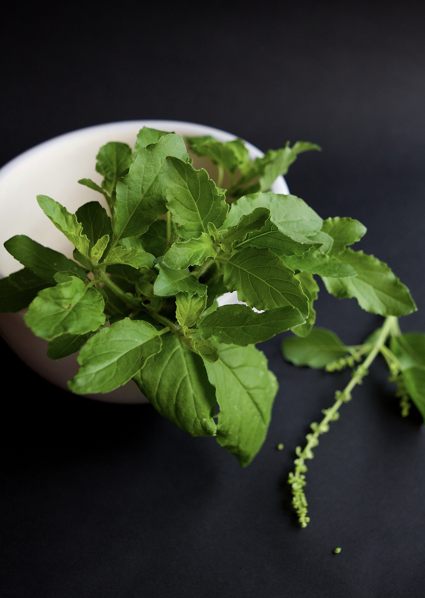 The medicinal value of Tulsi - Wellness Buddha