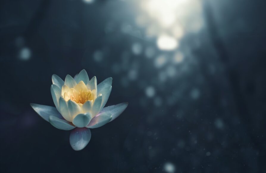 Finding ‘self’ in Nature - Wellness Buddha